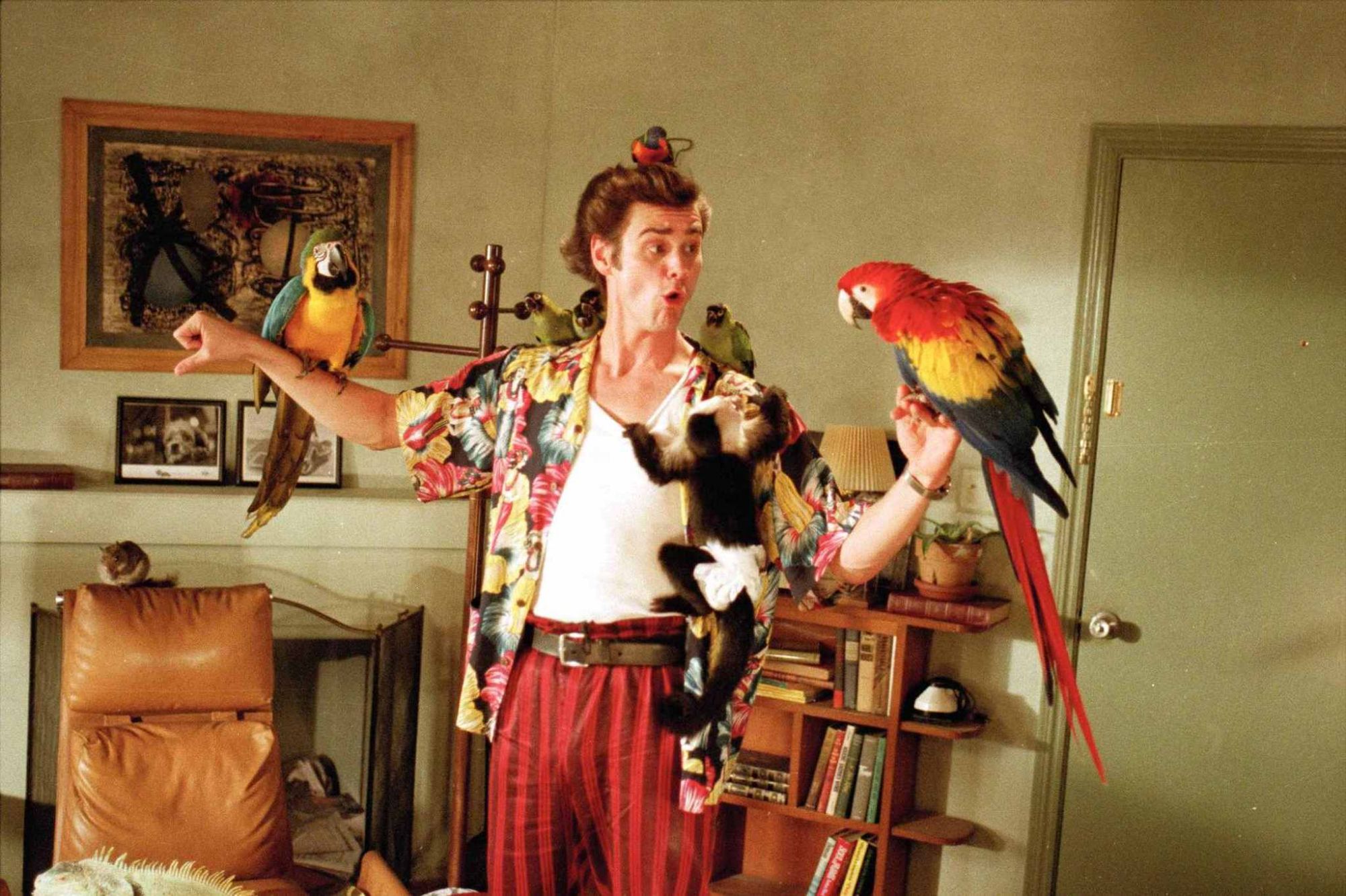 Ace Ventura Pet Detective 30th Anniversary Review- One Of The Funniest ...